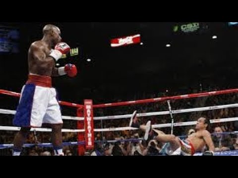Floyd Mayweather Highlights - YouTube
