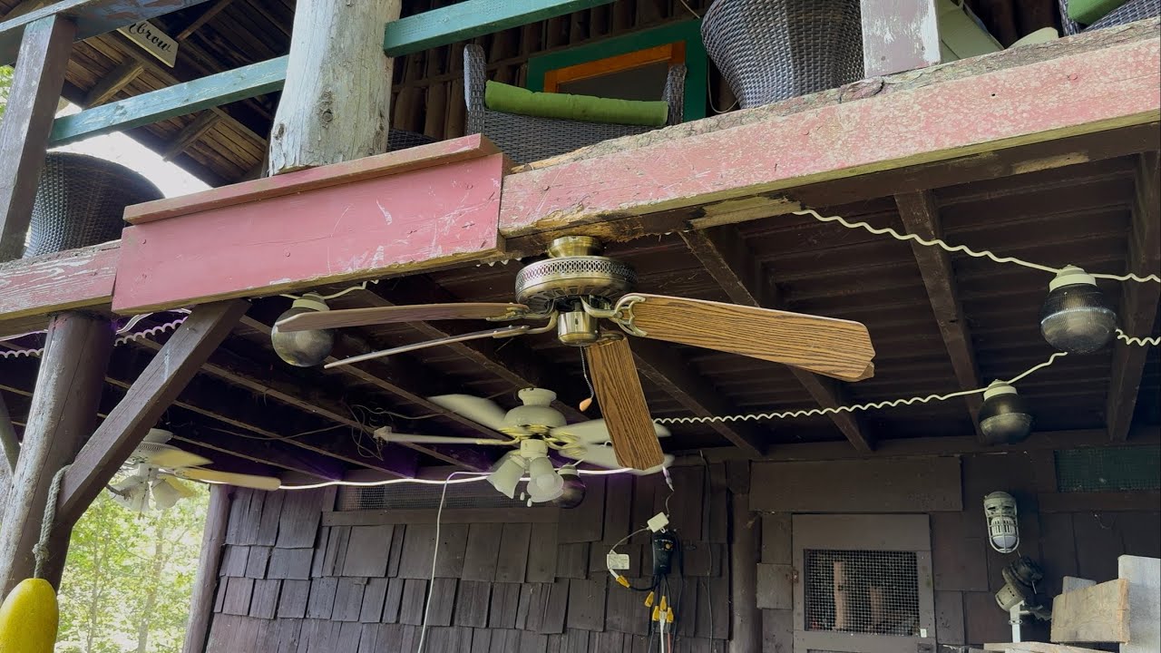 Ceiling Fan Destruction #98 - YouTube