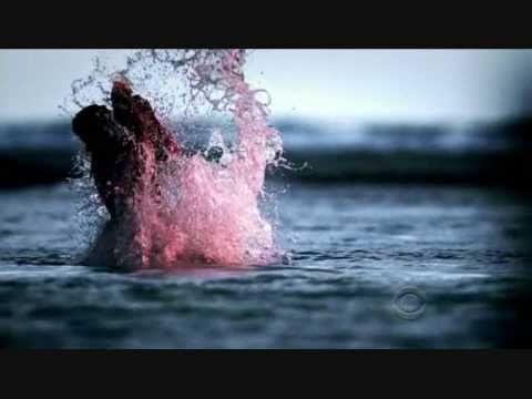 Survivor Themes from S1 to S21