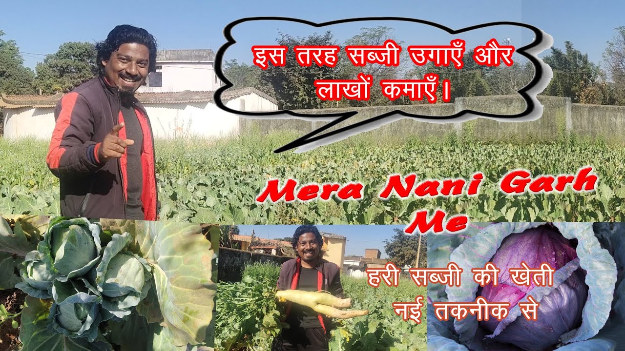 Mere Nani Garh II Sabji ki Kheti II Lakho ka Income II Ajay Lakra V_log ...