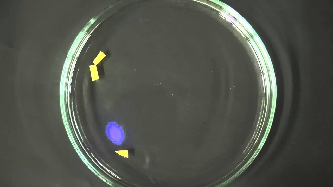 SI Movie 2 - YouTube