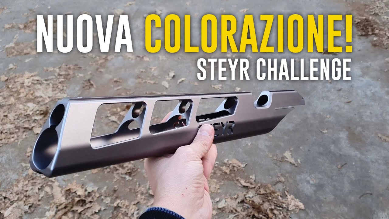 Steyr Challenge - how to color Field Target air rifle - YouTube