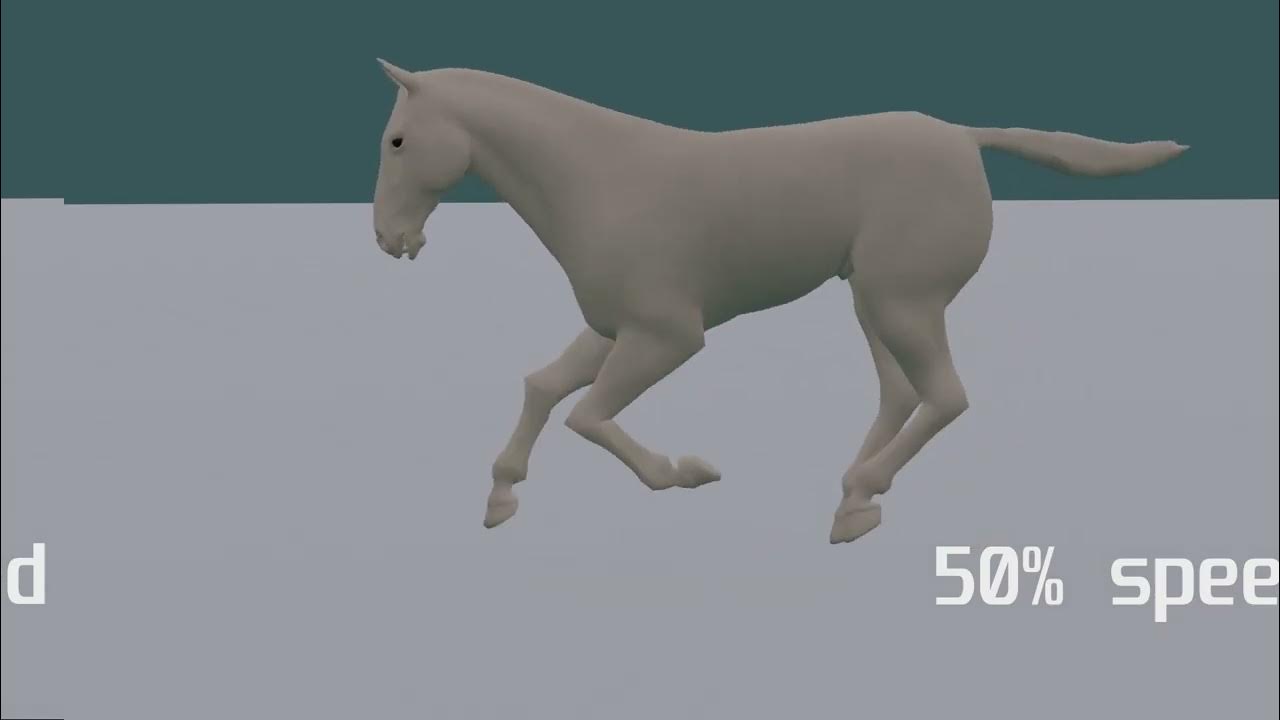 Hourse run 3D Animations - YouTube