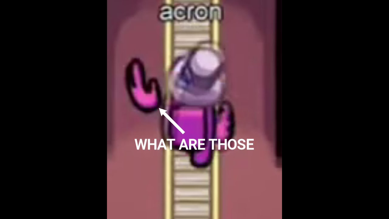 AMONG US USING A LADDER IN THE NEW AIRSHIP MAP - YouTube