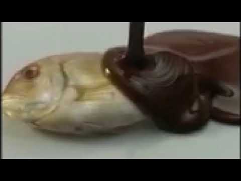 Le Fishe au chocolat (1 Hour) - YouTube