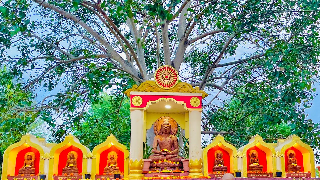 Bodhi pakara in Lumbini Buddha Vihara Puja under the Bodhi tree 🌳 # ...