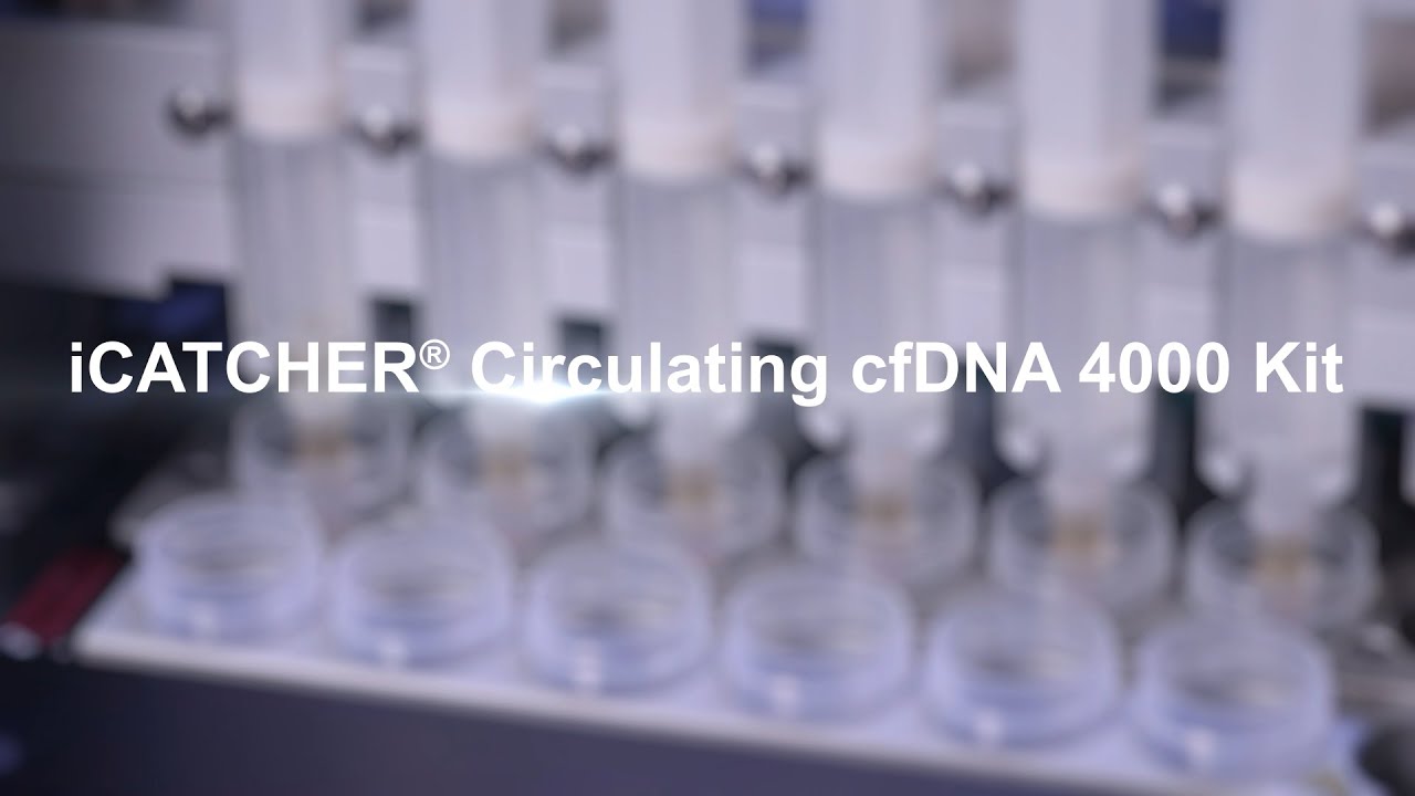 iCATCHER Circulating cfDNA 4000 Kit - YouTube