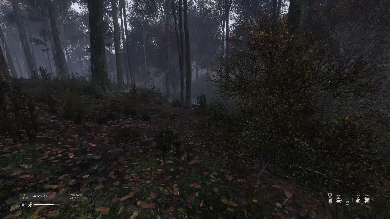 DayZ respawn fight for a car - YouTube