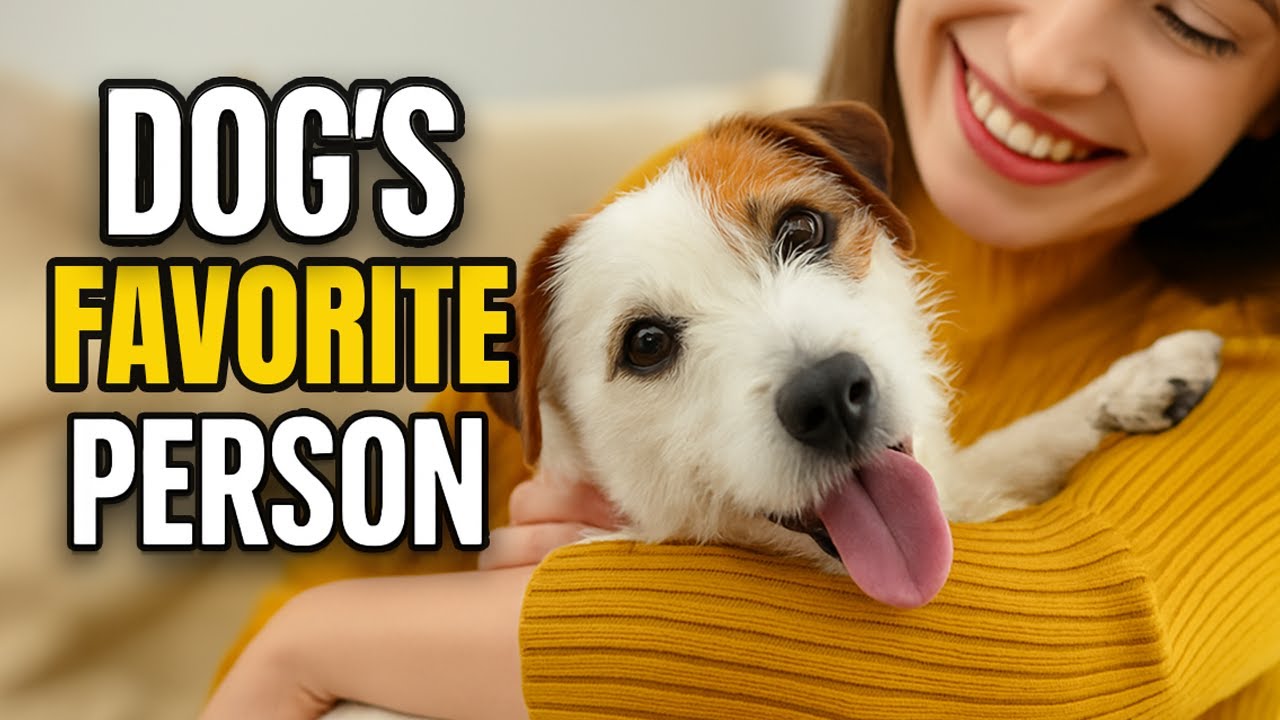 Why Dogs Choose YOU as Their Favorite Person (10 Reasons Revealed ...