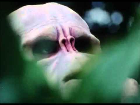 Bad Taste (1987) - Trailer