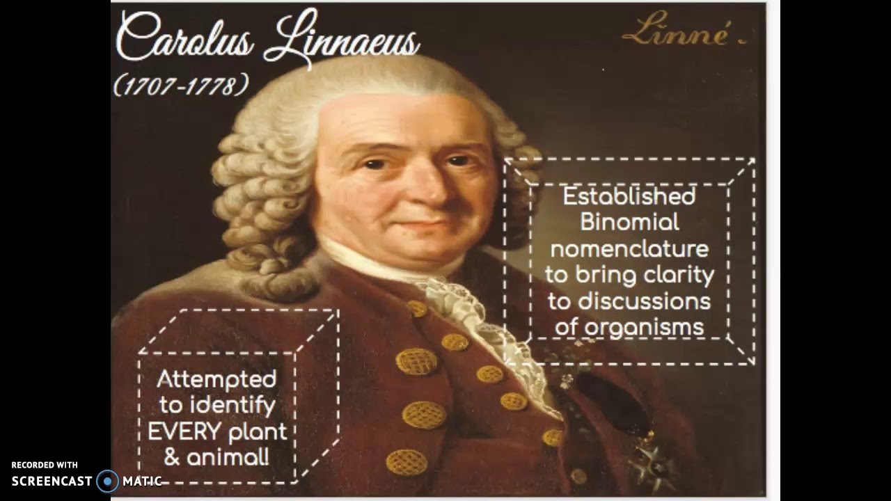 Classifying Living Things Youtube 8918