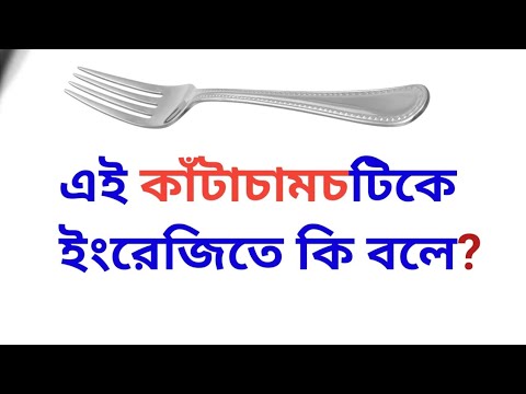 কাঁটাচামচটিকে ইংরেজিতে কি বলে, kata chamoch ti k ki bole English a ...