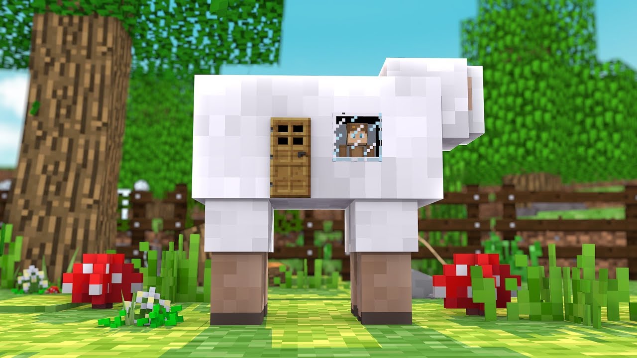 HOW TO LIVE INSIDE A SHEEP IN MINECRAFT YouTube how-to-live-inside-a-sheep-in-minecraft-youtube