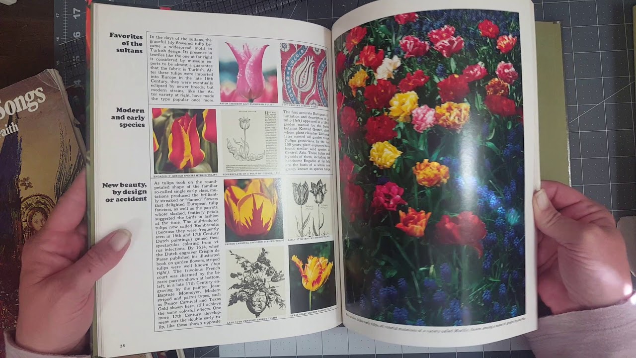 Etsy Books for Sale from Haul video! - YouTube