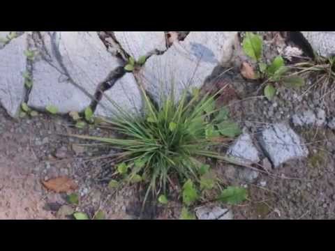 Textures in Nature, Etc.