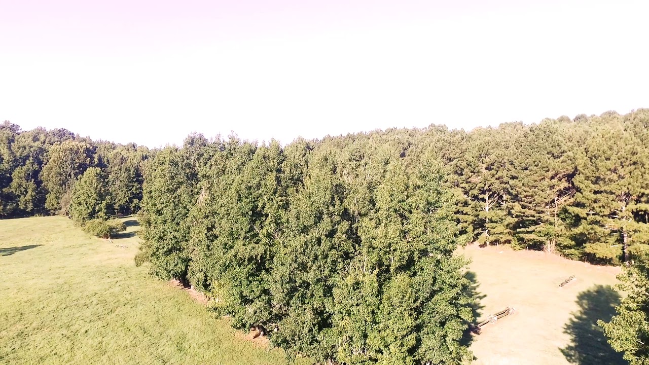 Foxberry Farm CrossCountry - YouTube