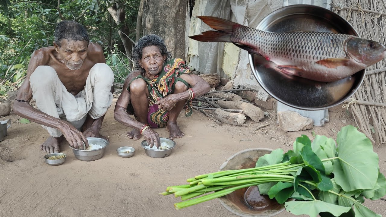 tribe 100years old grandma cooking FISH CURRY with KACHU SHAK and ...
