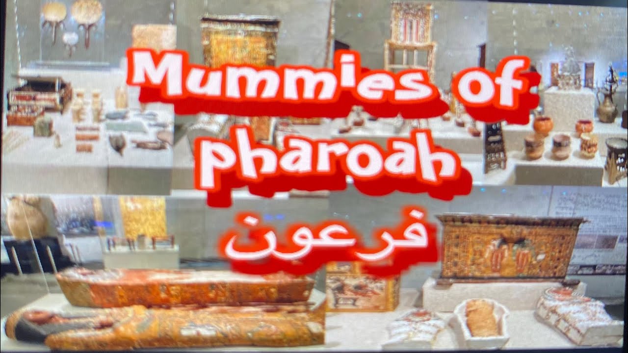 Mummies of pharaoh, firoan, national museum of Egyptian civilisation ...