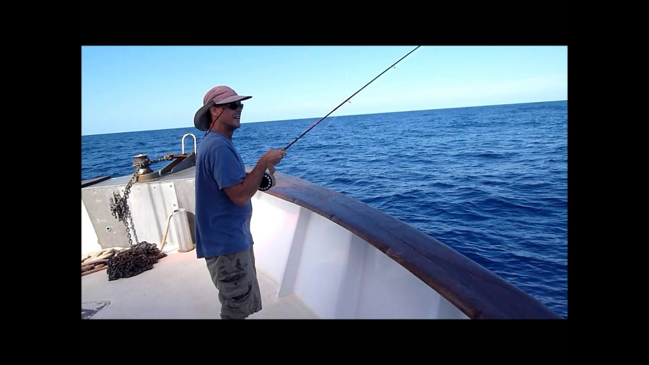 Blue Water Fly Fishing on the Shogun First Hook Up on Yellowfin Tuna ...