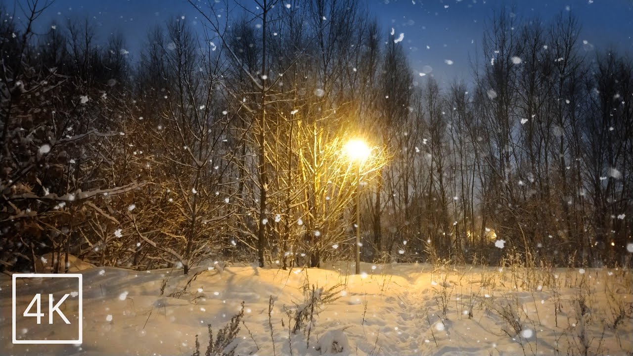 Winter Relaxing Snowfall with Quiet Wind | Falling Snow Sounds for ...