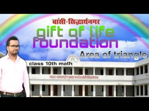 Area of triangle class 10 math - YouTube