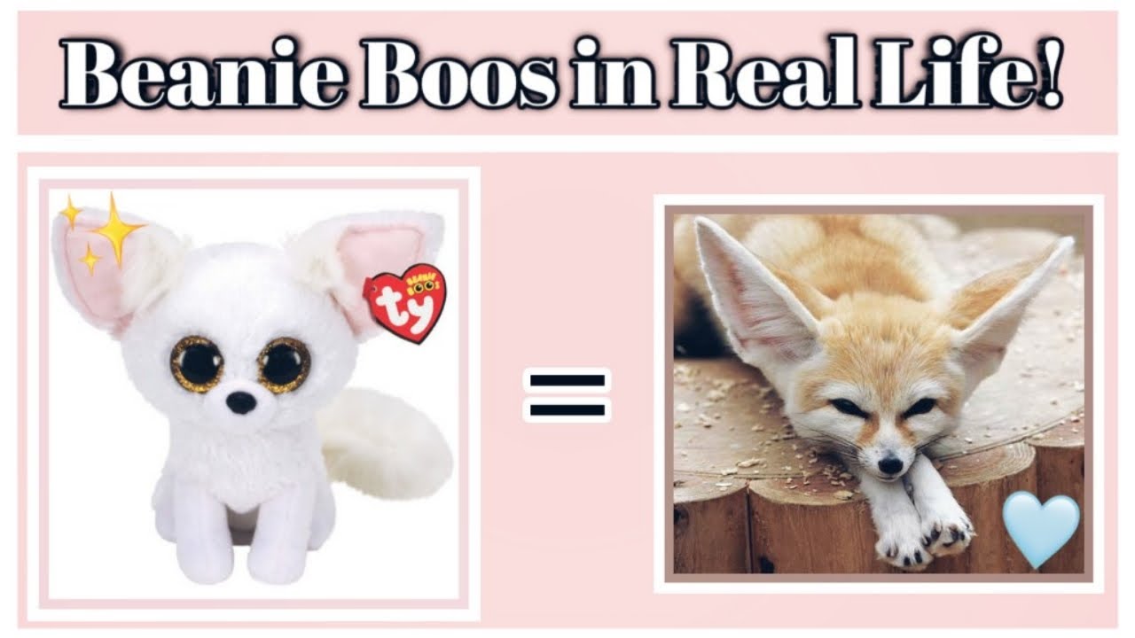 Beanie Boos In Real Life! - YouTube