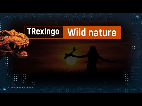 TRexIngo - Wild nature -