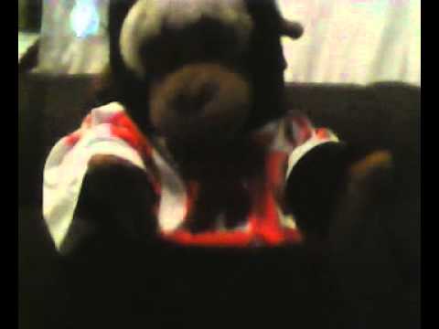 macaco tarado em viamão - YouTube