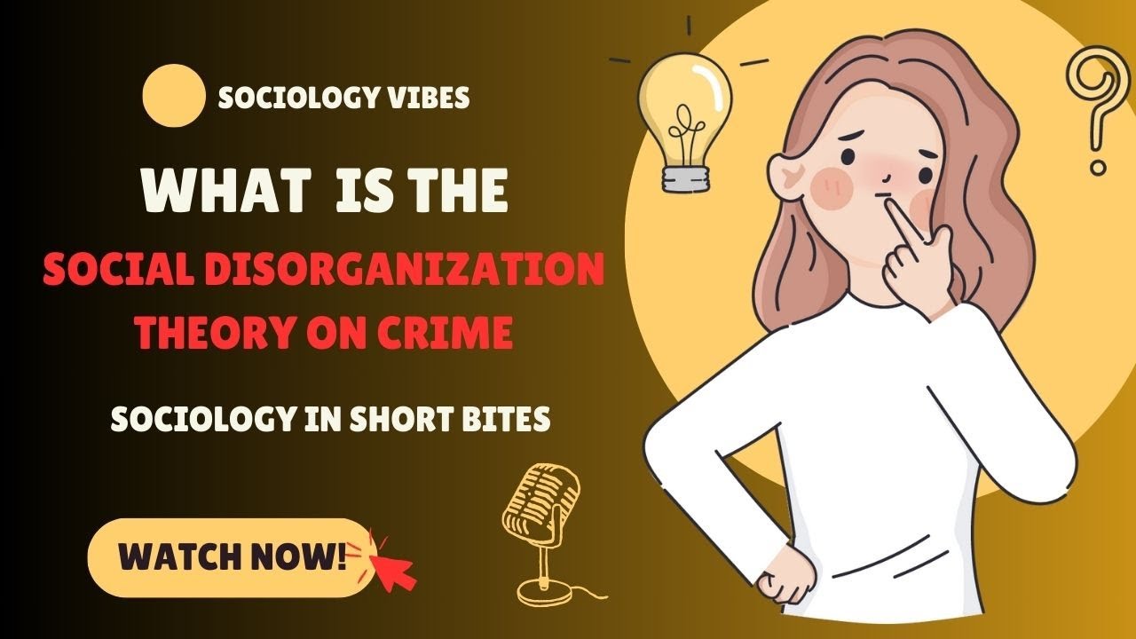 What are Social Disorganization & Culture of Deviance Theories? | Intro ...