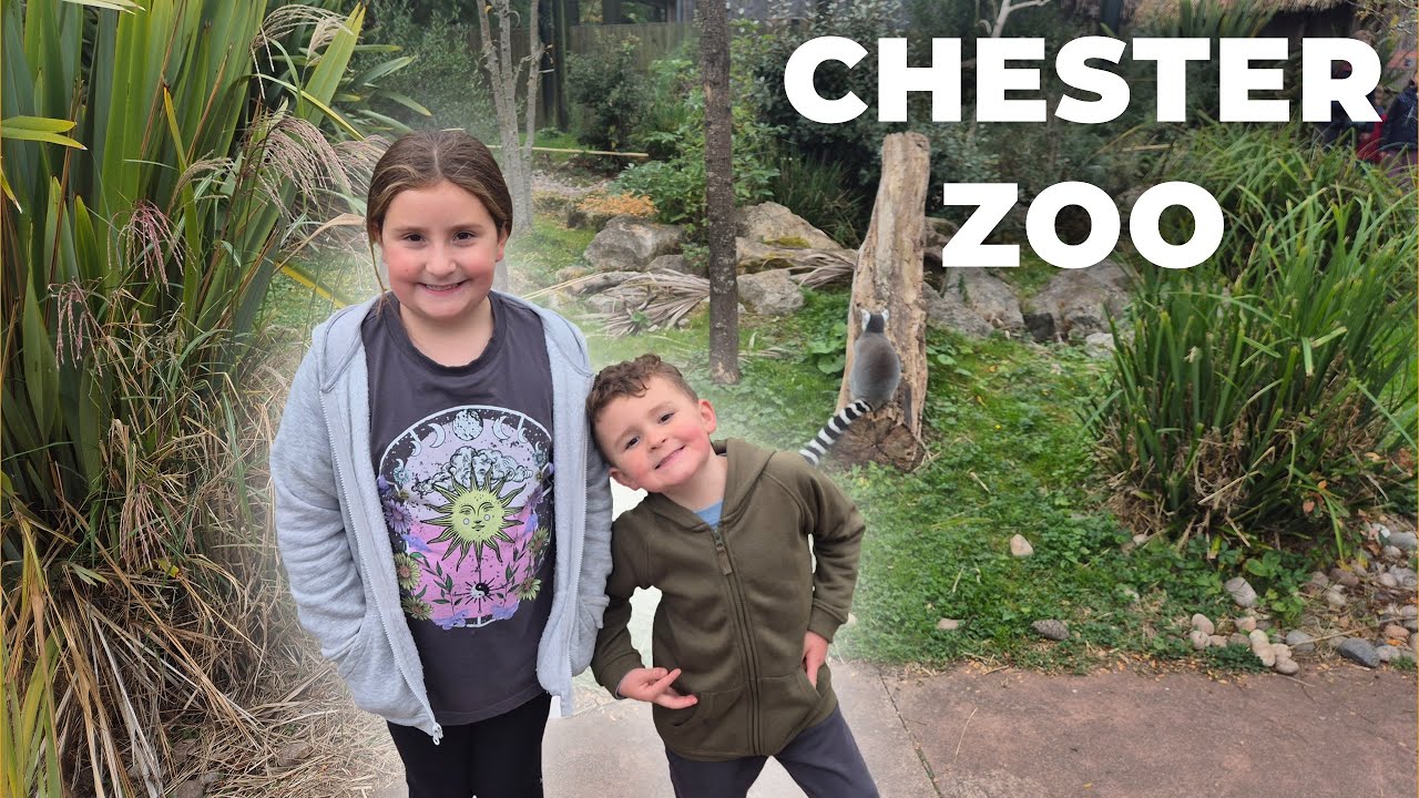 Checking Out Halloween At Chester Zoo - YouTube