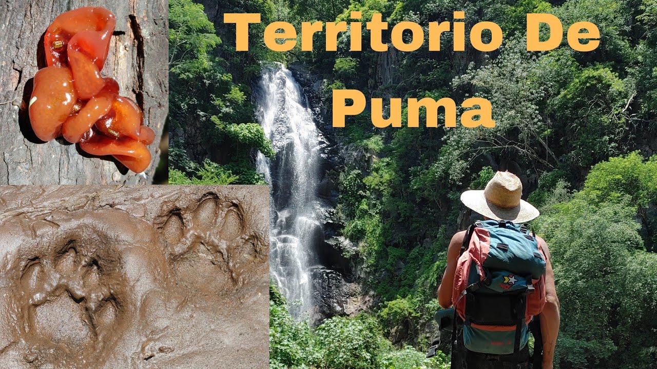 Territorio Del Puma: Recorriendo El Rio Santiago - YouTube