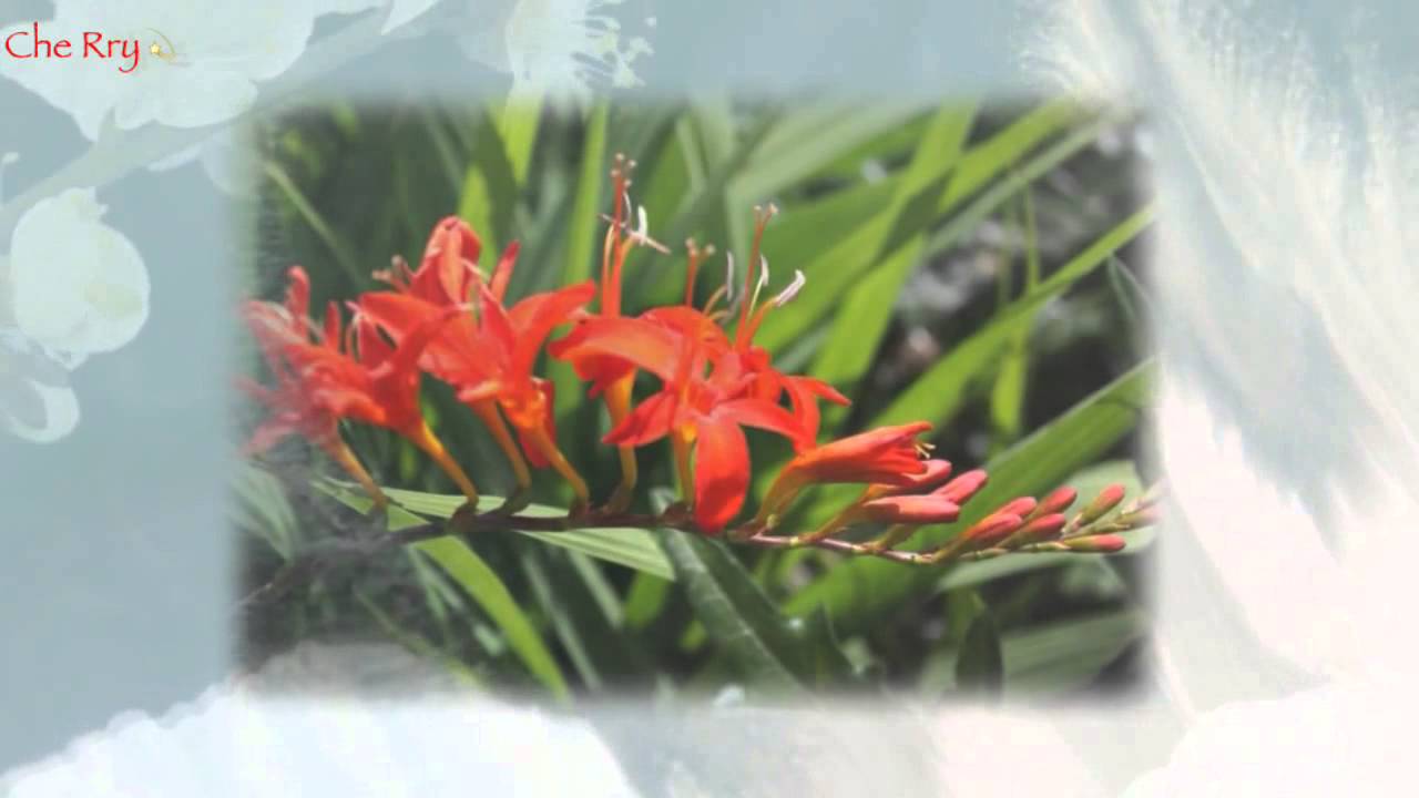Faithful Father Brian Doerksen - YouTube