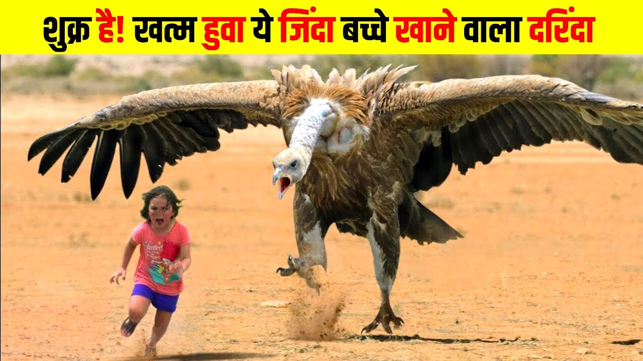 MOST DANGEROUS ANIMALS THAT ARE EXTINCT || - YouTube