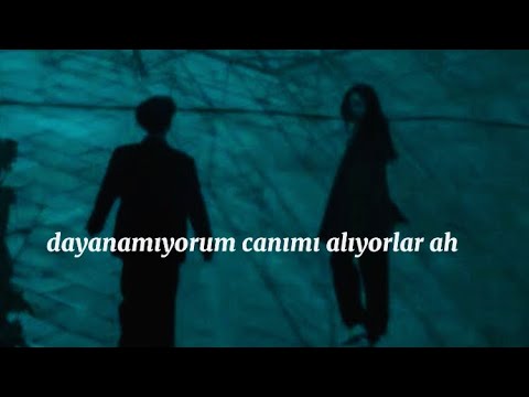Kerim Araz & Sevgim Yılmaz-Dayanamıyorum (lyrics/sözleri) şarkı sözleri