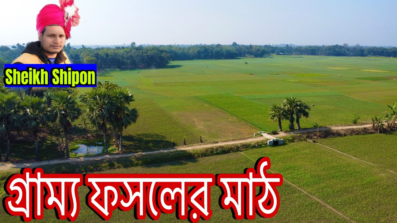 গ্রাম্য ফসলের মাঠ || Rural crop fields || Sheikh Shipon Vlog video || - YouTube