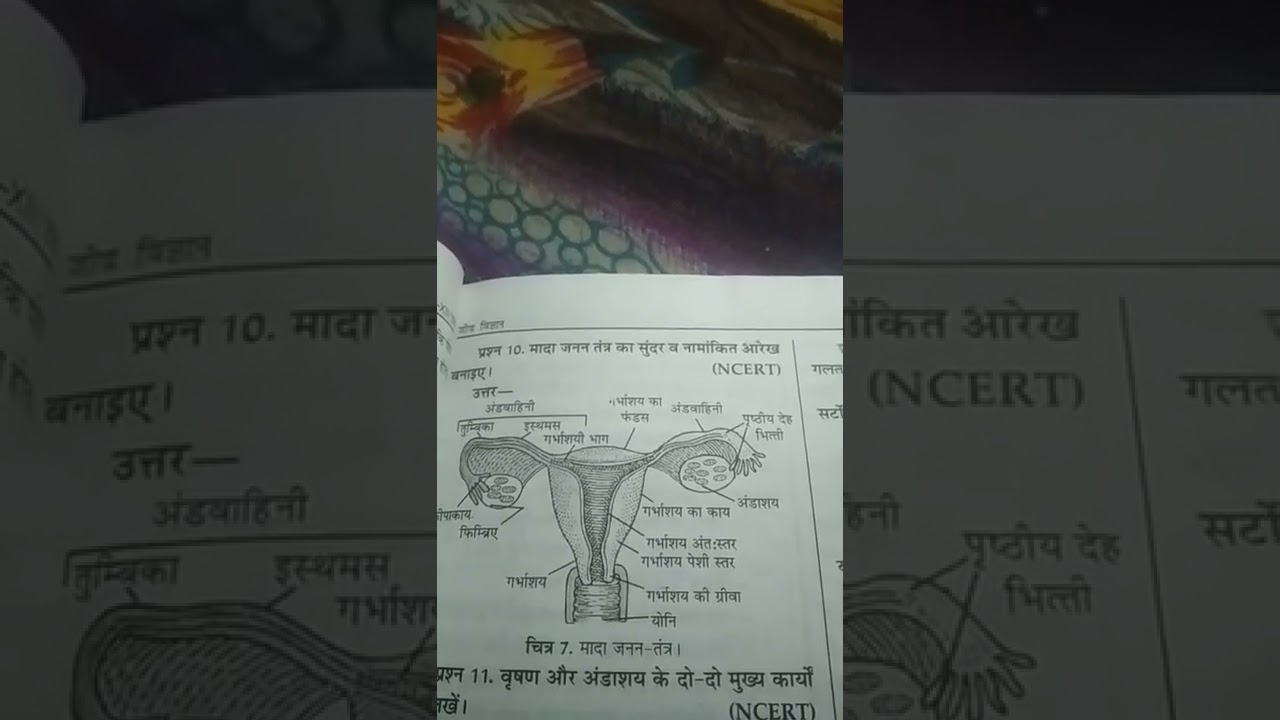 mada janan tantra - YouTube