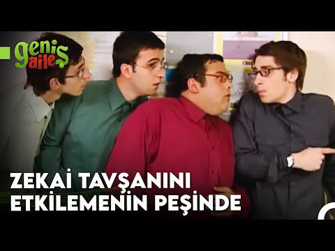 Zekai ve Kütük Tüm Sahneler #14- Geniş Aile