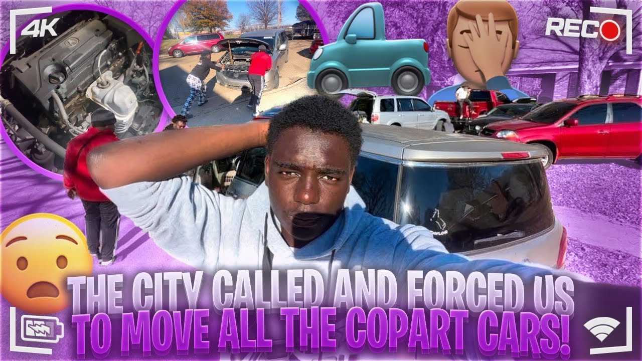The City Called And Forced Us To Move All The Copart Cats - YouTube