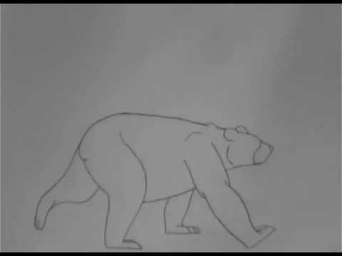Bear animation - YouTube