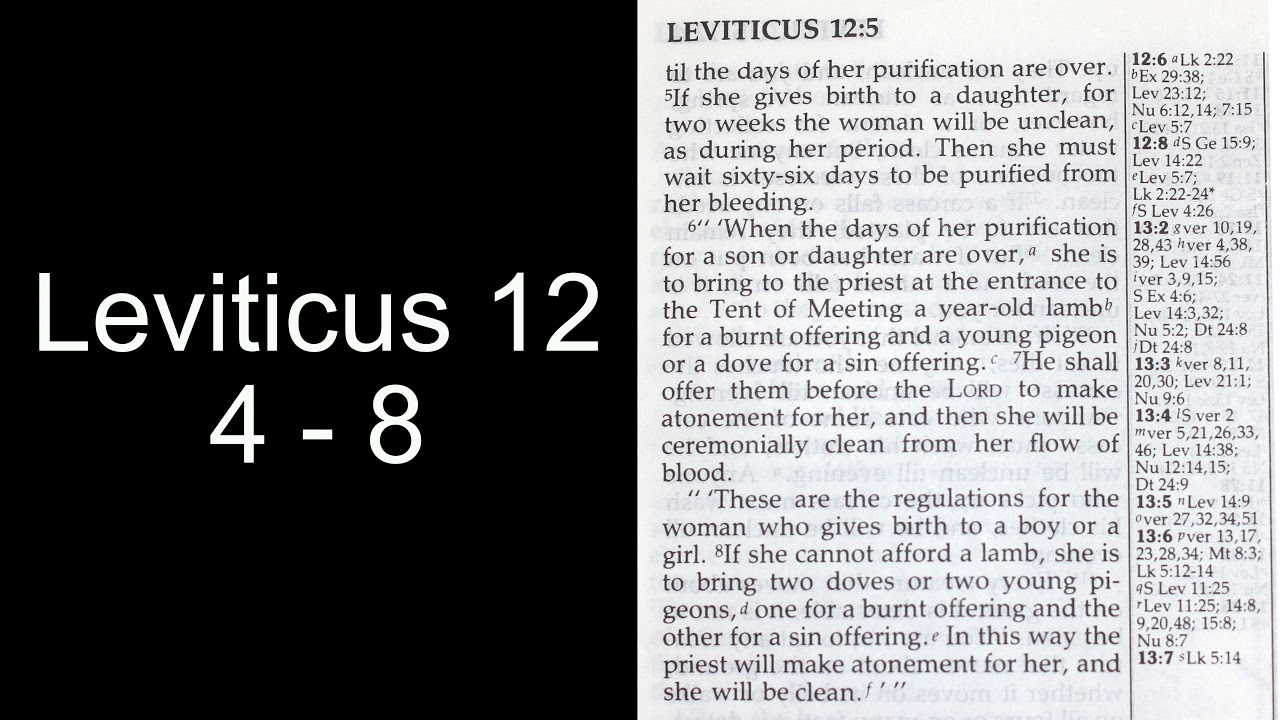 Holy Bible - Leviticus 12 : 1 - 8 - YouTube