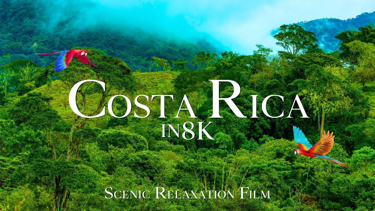 Costa Rica in 8K ULTRA HD (60FPS) - The Green Paradise | Scenic ...