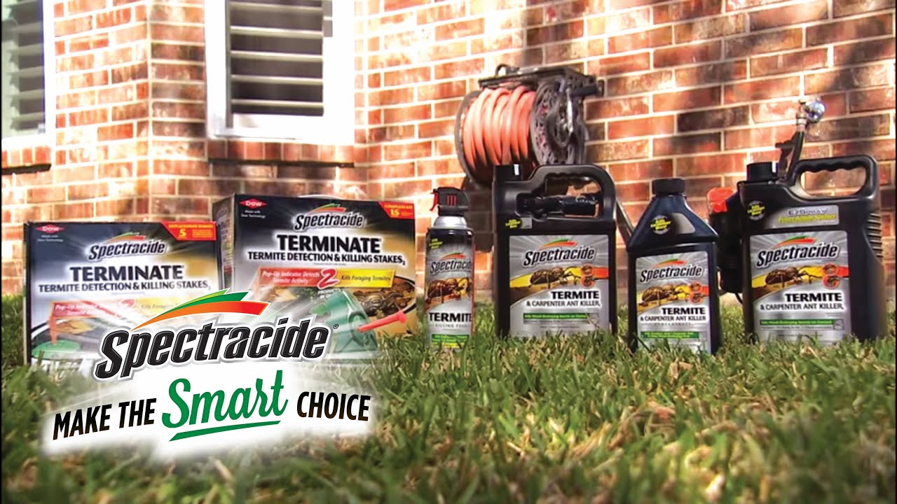 Spectracide® Solutions | Termite & Carpenter Ant Control - YouTube
