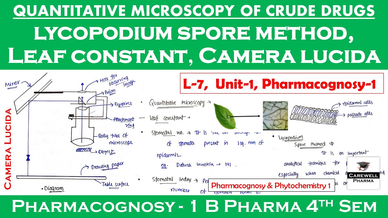 Quantitative microscopy of crude drugs | Lycopodium Spore method | Leaf ...