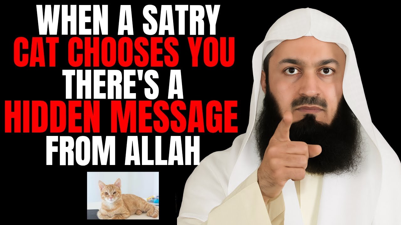 6 Hidden Signs from Allah When a Cat Comes Into Your Life | Mufti Menk ...