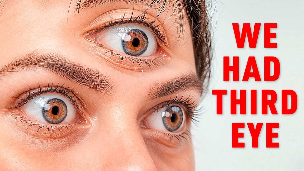 The Lost Third Eye: Evolution and the Mystical Disappearance of Human ...