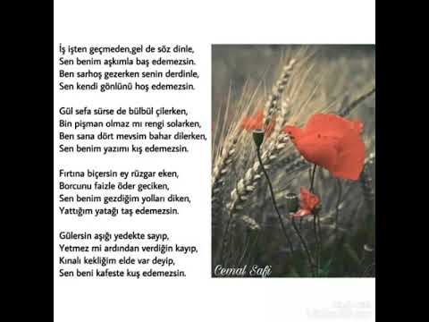 Baş edemezsin / Cemal Sâfi şiiri / Başedemezsin şiir / Cemal safi / şiir / şiirler