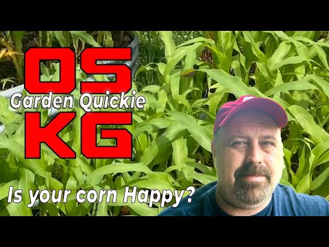 OSKG Quickie: How to turn sad corn into happy corn - YouTube