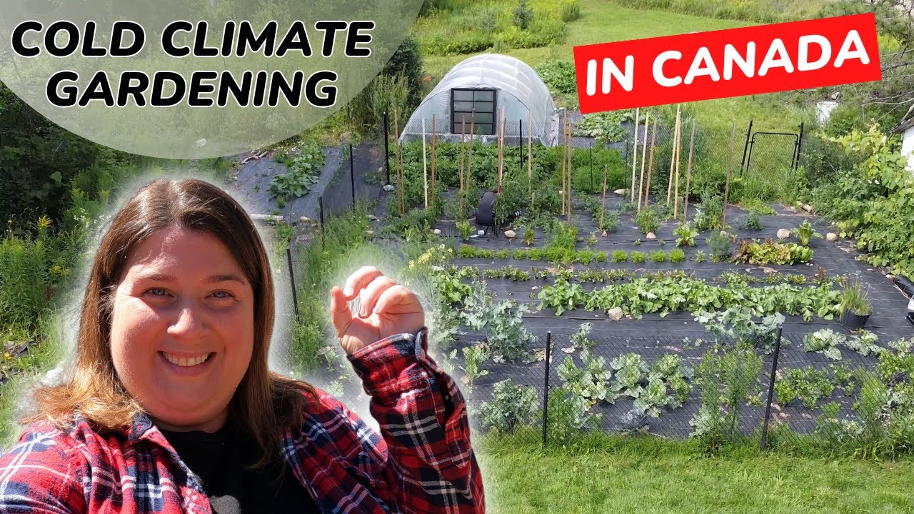 Cold Climate Gardening | Gardening In Canada - YouTube