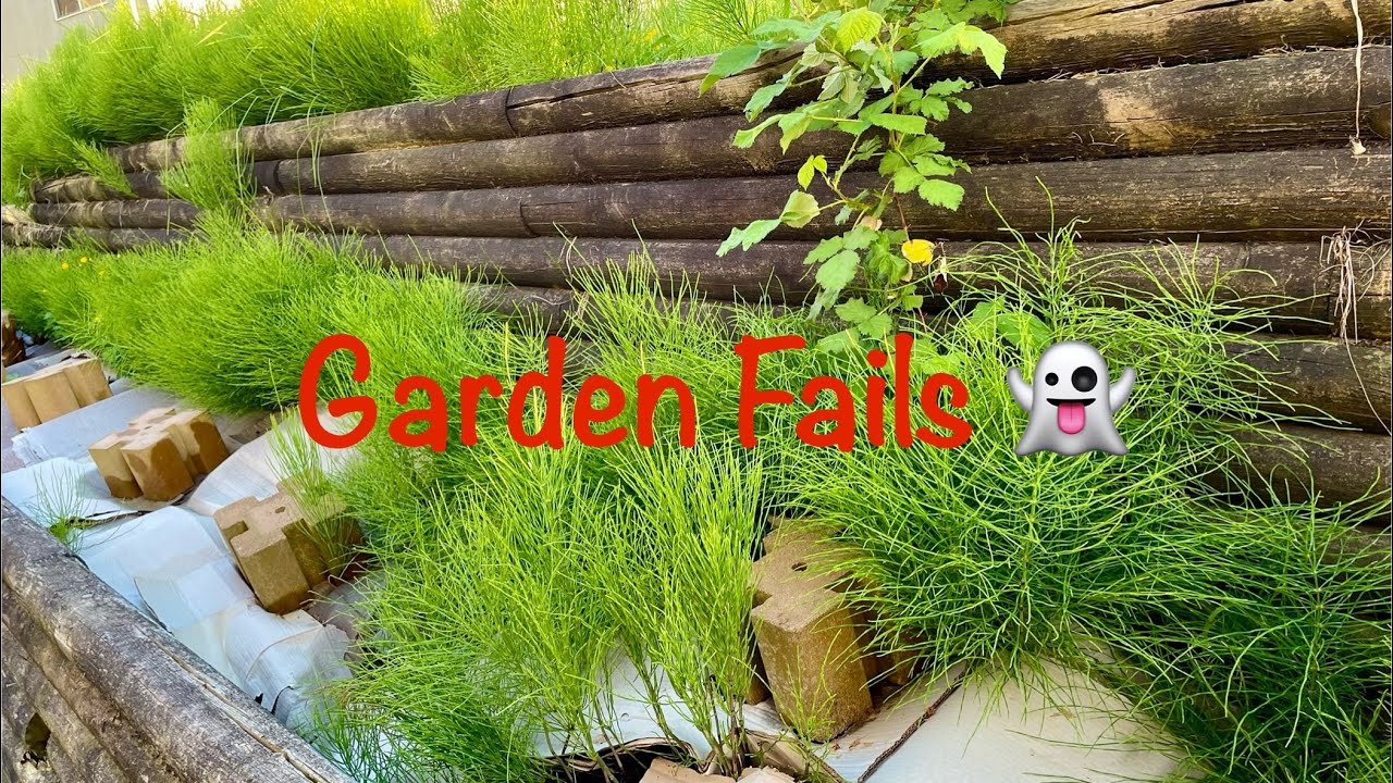 Garden Fails 🫣 - Progress, Not Perfection 🪄 - YouTube