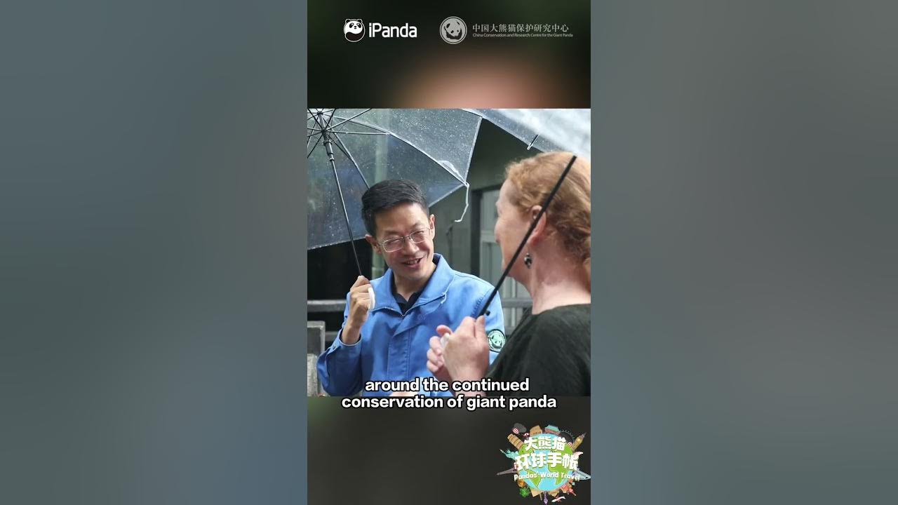 【Pandas' World Travel】Yun Chuan And Xin Bao's Home In The US | iPanda - YouTube